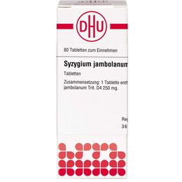 DHU-Arzneimittel Syzygium Jambolanum D 4 Tabletten 80 St