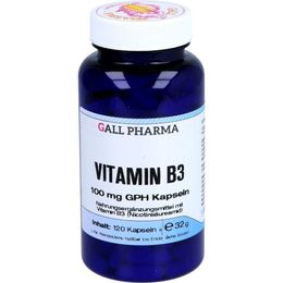 Hecht-Pharma Vitamin B3 100 mg Gph Kapseln 120 St