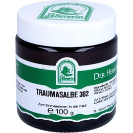 Hecht-Pharma Traumasalbe 302 100 g