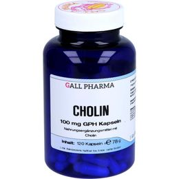 Hecht-Pharma Cholin 100 mg Gph Kapseln 120 St