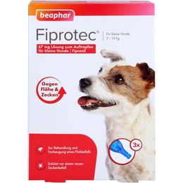 Fiprotec 67 mg L&ouml;sung z.Auftr.f.kleine Hunde 3X0.67 ml