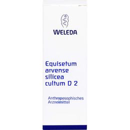 Weleda Equisetum Arvense Silicea cultum D 2 Dilution 50 ml