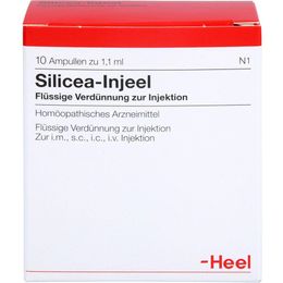 Heel Silicea Injeel Ampullen 10 St