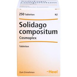 Heel Solidago Compositum Cosmoplex Tabletten 250 St