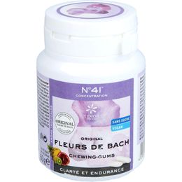 HAGER PHARMA Konzentration Kaugummi nach Dr.Bach 40 St