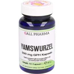 Hecht-Pharma Yamswurzel 500 mg Gph Kapseln 60 St