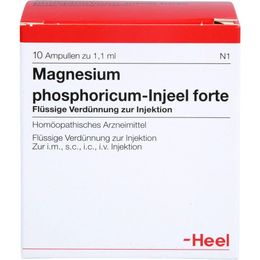 Heel Magnesium Phosphoricum Injeel forte Ampullen 10 St