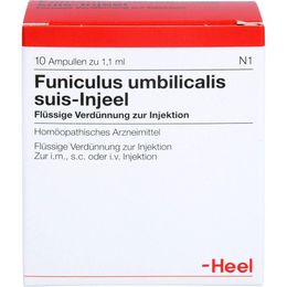 Heel Funiculus Umbilicalis suis Injeel Ampullen 10 St