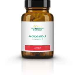 Pycnogenol Kapseln 120 St