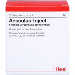Heel Aesculus Injeel Ampullen 10 St