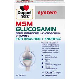 Queisser Doppelherz Msm Glucosamin system Kapseln 60 St