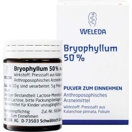 Weleda Bryophyllum 50% Pulver zum Einnehmen 50 g