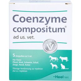 Heel Coenzyme Compositum ad us.vet.Ampullen 5X5 ml