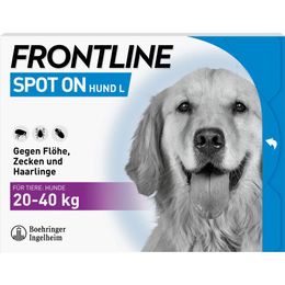 Frontline Spot on H 40 L&ouml;sung f.Hunde 6 St