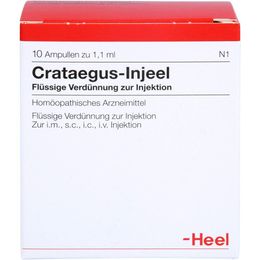Heel Crataegus Injeel Ampullen 10 St