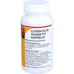 Reinhildis-Apotheke Lutein Plus Augen Fit Kapseln 90 St