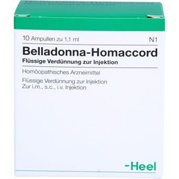 Heel Belladonna Homaccord Ampullen 10 St