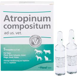 Heel Atropinum Compositum ad us.vet.Ampullen 5 St
