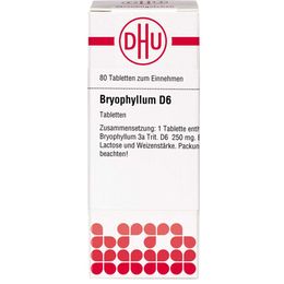 DHU-Arzneimittel Bryophyllum D 6 Tabletten 80 St