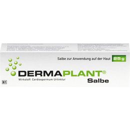Dermaplant Salbe 25 g