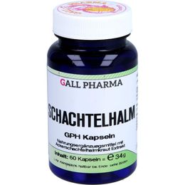 Hecht-Pharma Schachtelhalm Kapseln 60 St