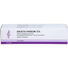 Bombastus Salicyl Vaselin 5% Salbe 100 ml