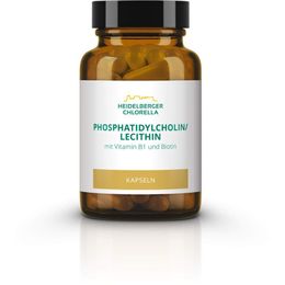 PHOSPHATIDYLCHOLIN/Lecithin Phospholipide Kapseln 60 St