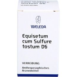Weleda Equisetum Cum Sulfure tostum D 6 Trituration 20 g