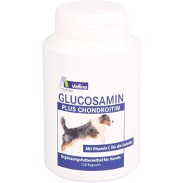 Avitale GLUCOSAMIN+CHONDROITIN Kapseln f.Hunde 120 St