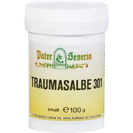 Hecht-Pharma Traumasalbe 301 100 g