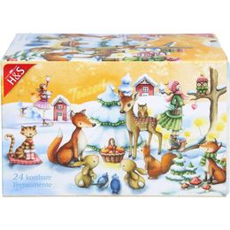 H&S Adventskalender Stern Filterbeutel 24 St