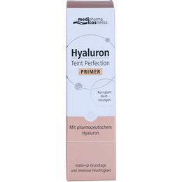 Dr.Theiss Hyaluron Teint Perfection Primer 30 ml