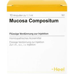 Heel Mucosa compositum Ampullen 10 St