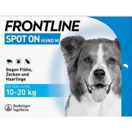 Frontline Spot on H 20 L&ouml;sung f.Hunde 3 St