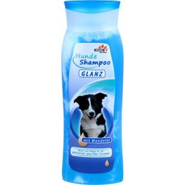 Axisis Hunde Shampoo Glanz mit Mandelöl vet. 300 ml