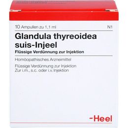 Heel Glandula Thyreoidea suis Injeel Ampullen 10 St