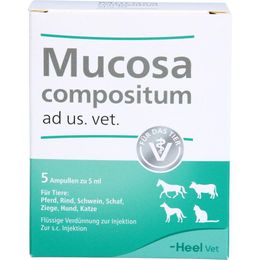 Heel Mucosa compositum ad us.vet.Ampullen 5X5 ml