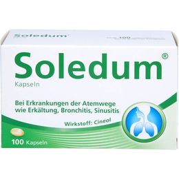 MCM KLOSTERFRAU Vertr. GmbH Soledum 100 mg magensaftresistente Kapseln 100 St