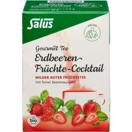 Erdbeeren Fr&uuml;chtecocktail Salus Filterbeutel 15 St