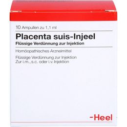 Heel Placenta Suis Injeel Ampullen 10 St