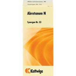 Kattwiga Synergon Komplex 53 Abrotanum N Tabletten 100 St