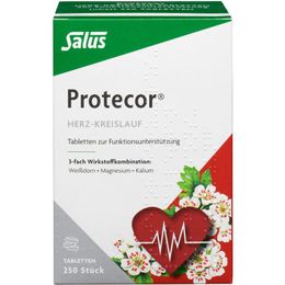 Protecor Herz-Kreislauf Tabl.z.Funktionsunt.Salus 250 St