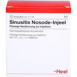 Heel Sinusitis Nosode Injeel Ampullen 10 St