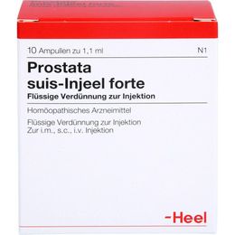 Heel Prostata Suis Injeel forte Ampullen 10 St