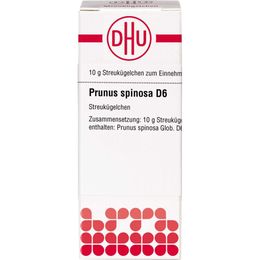 DHU-Arzneimittel Prunus Spinosa D 6 Globuli 10 g