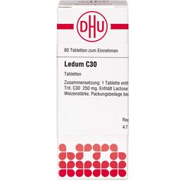 DHU-Arzneimittel Ledum C 30 Tabletten 80 St