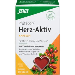 Salus Protecor Herz-Aktiv Kapseln 60 St