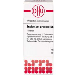 DHU-Arzneimittel Equisetum Arvense D 6 Tabletten 80 St