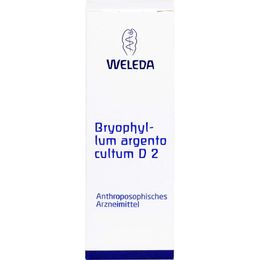 Weleda Bryophyllum Argento cultum D 2 Dilution 50 ml