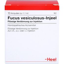 Heel Fucus Vesiculosus Injeel Ampullen 10 St